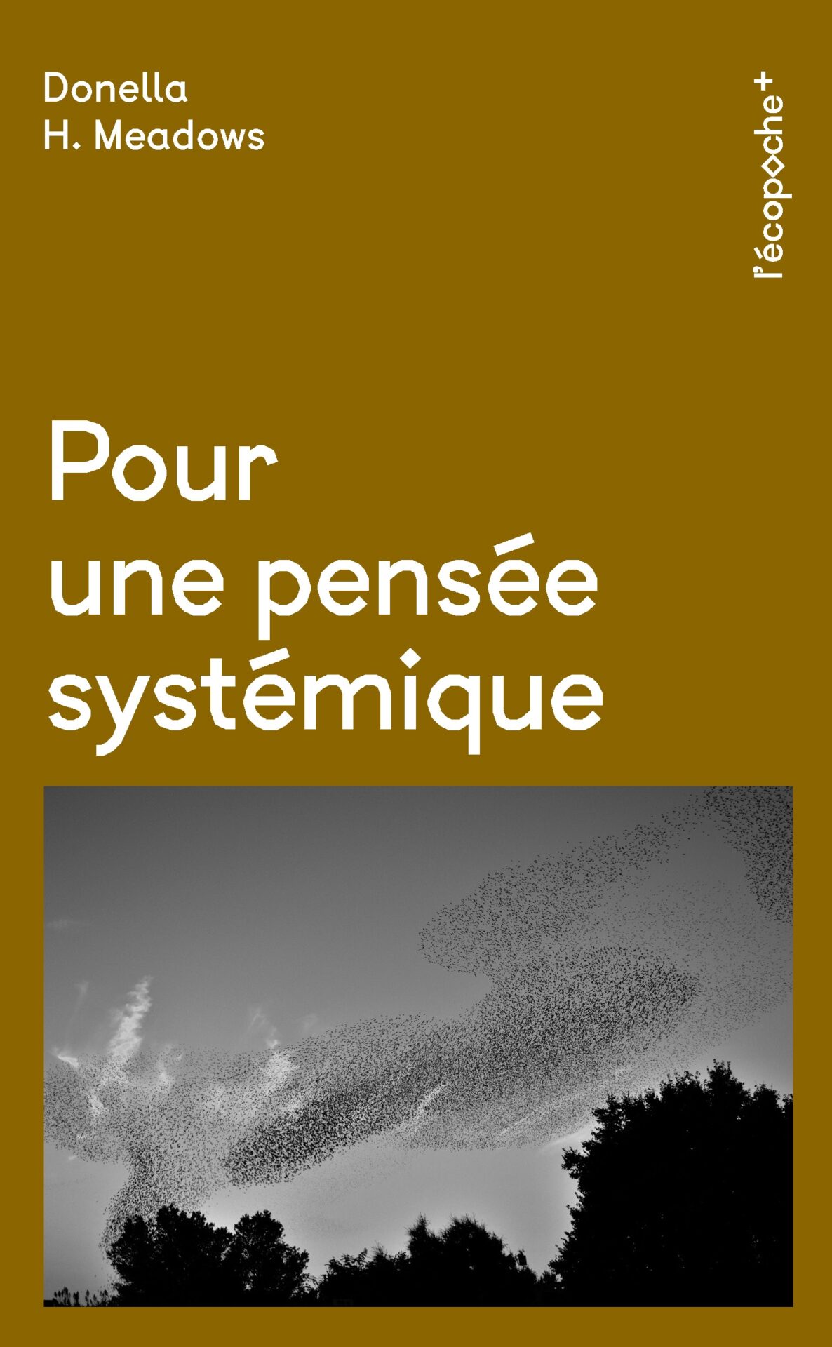 POUR UNE PENSEE SYSTEMIQUE - Chedd